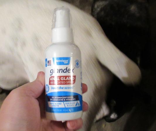 VETNIQUE LABS Glandex Anal Gland Medicated Anti Itch Spray for Dogs ...