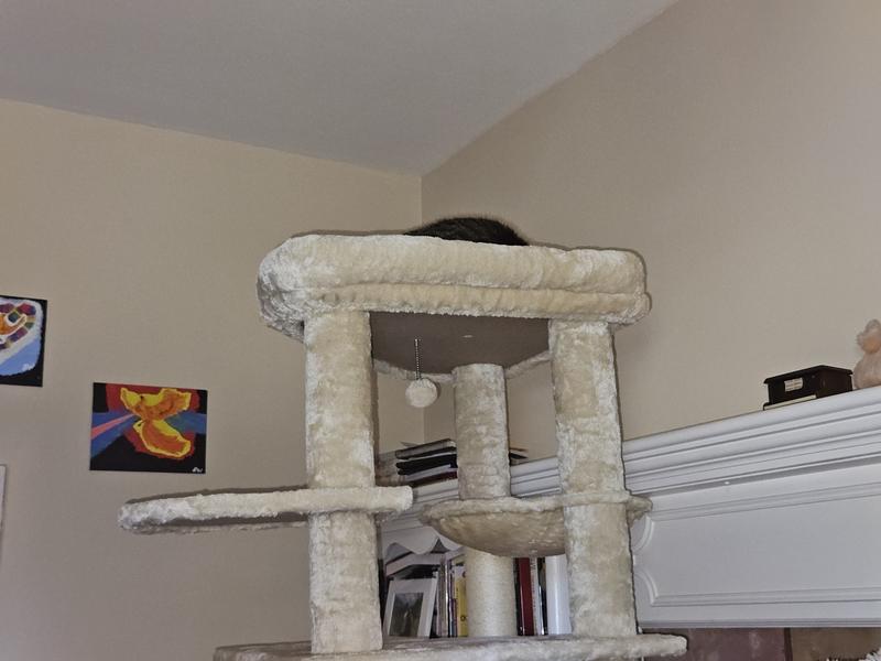 FRISCO 65-in XXL Heavy Duty Cat Tree, Gray - Chewy.com