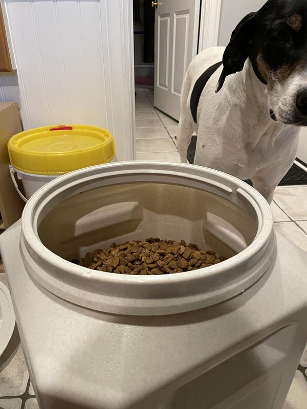 GAMMA2 Vittles Vault Pet Food Storage, 50-lb - Chewy.com