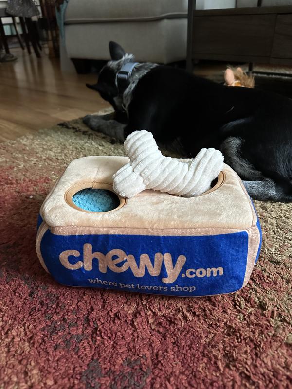 FRISCO Chewy Box Hide & Seek Puzzle Plush Squeaky Dog Toy, Small/Medium ...