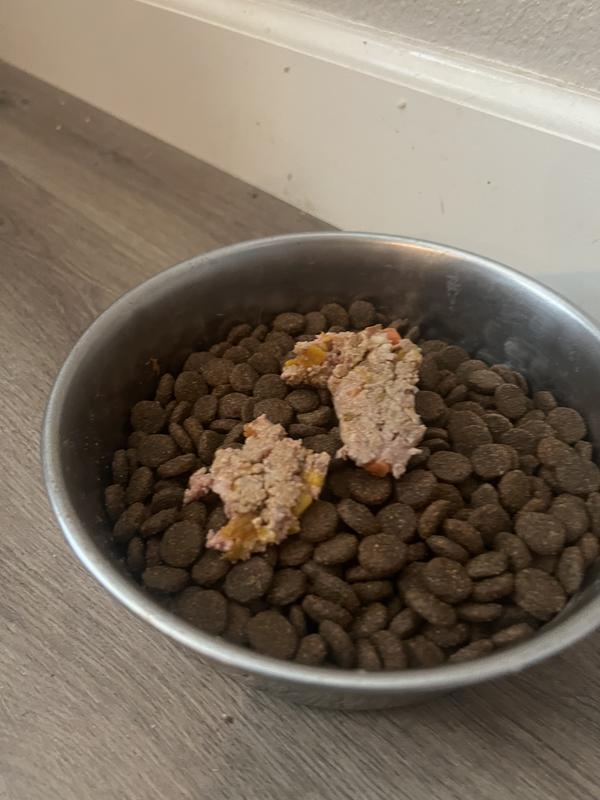 SOLID GOLD Homestyle Meal Gut Health Beef Dog Food Topper, 9-oz pouch ...