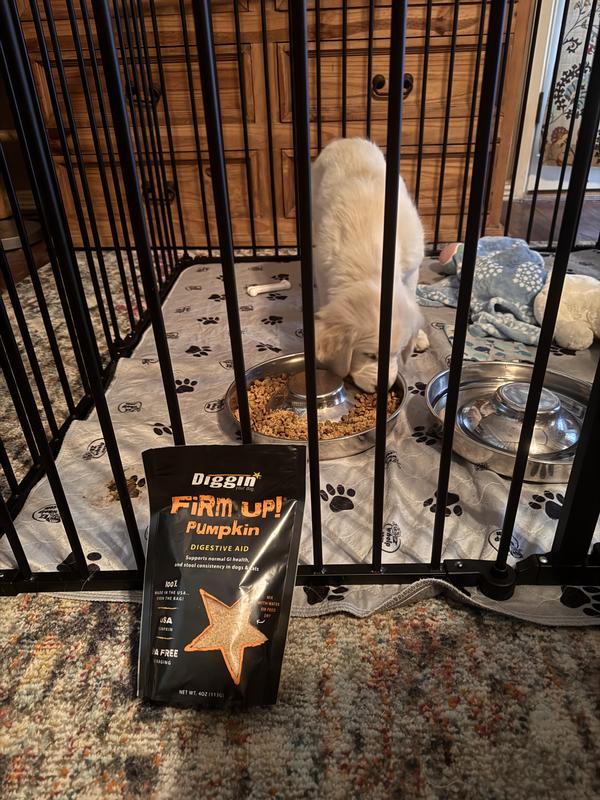 Out of Stock - DIGGIN' YOUR DOG Firm Up! Pumpkin Digestive Aid Powder ...