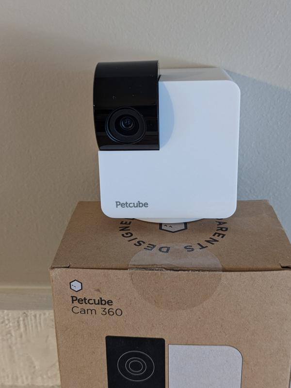 PETCUBE Cam 360 Wi-Fi Pet Camera, White - Chewy.com
