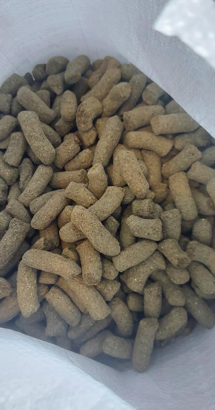 AGSOLV FEED Health Rodent 18% Grower & Breeder Small Pet Food, 40-lb ...