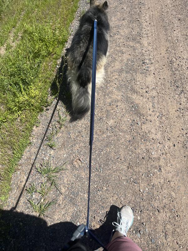 RUFFWEAR Roamer Polyester Running Traffic-Handle Dog Leash, Orion Blue ...