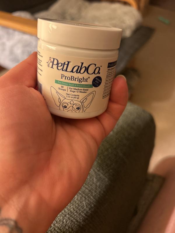 PETLAB CO. ProBright Dog Dental Powder for Large Dogs - Chewy.com
