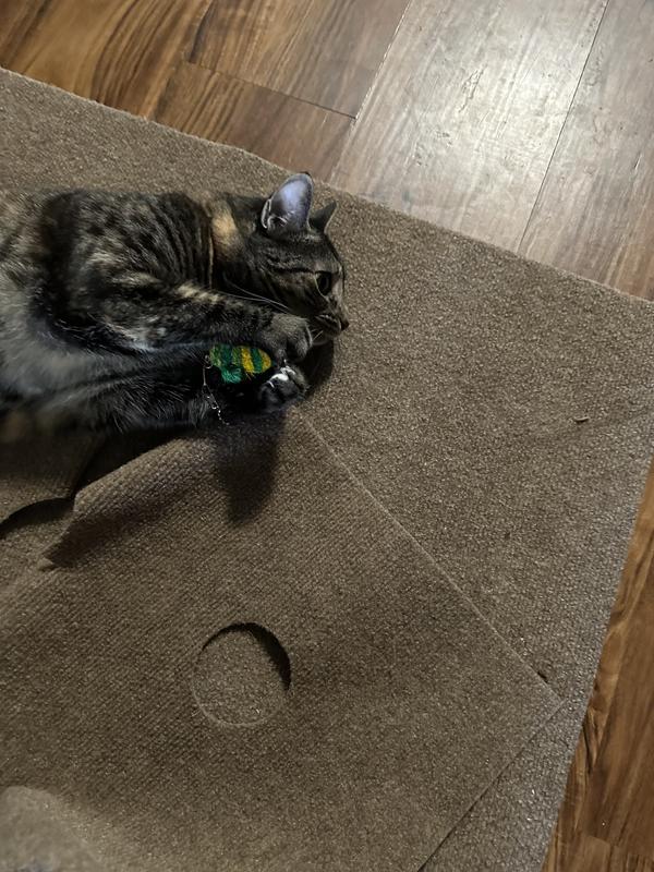 SNUGGLYCAT Ripple Rug Cat Activity Play Mat, Oatmeal White - Chewy.com