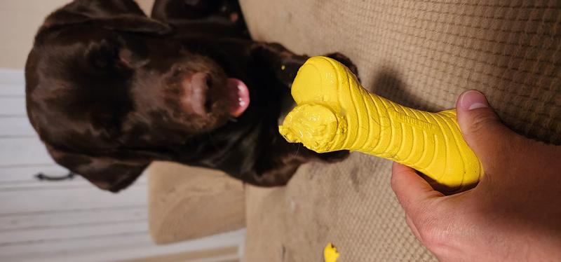 PLAYOLOGY Scented Dual Layer Bone Dog Toy, Large, Peanut Butter Scented ...