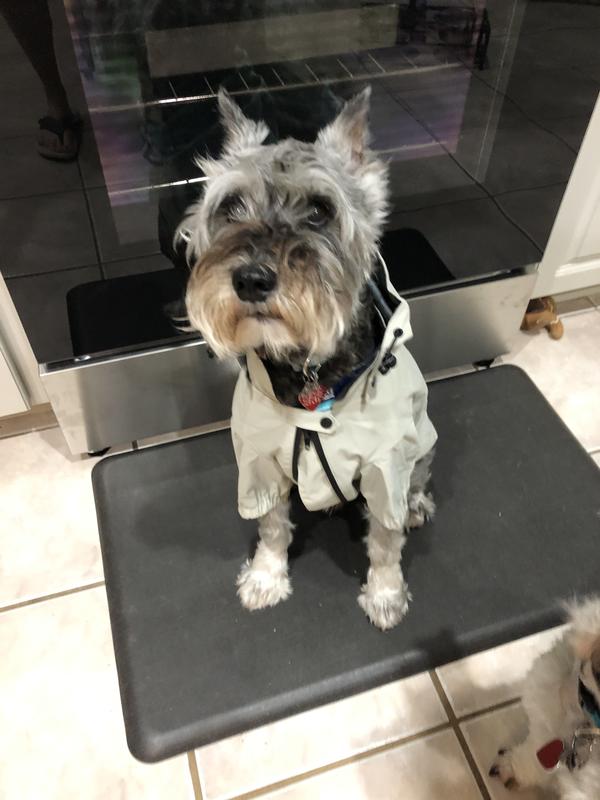 FRISCO Ultra Lightweight Dog & Cat Windbreaker with Removable Hood ...