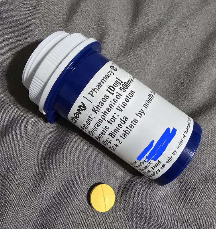 CHLORAMPHENICOL (Generic) Tablets for Dogs, 500-mg - Easy Refills ...