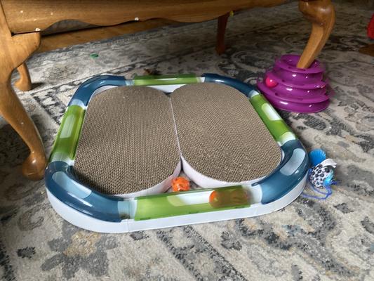 CATIT Senses 2.0 Oval Circuit Scratcher Cat Toy with Catnip | Chewy Canada