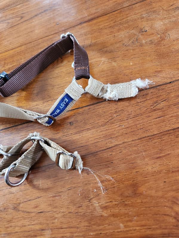 PETSAFE Easy Walk Dog Harness, Black/Silver, Medium/Large - Chewy.com