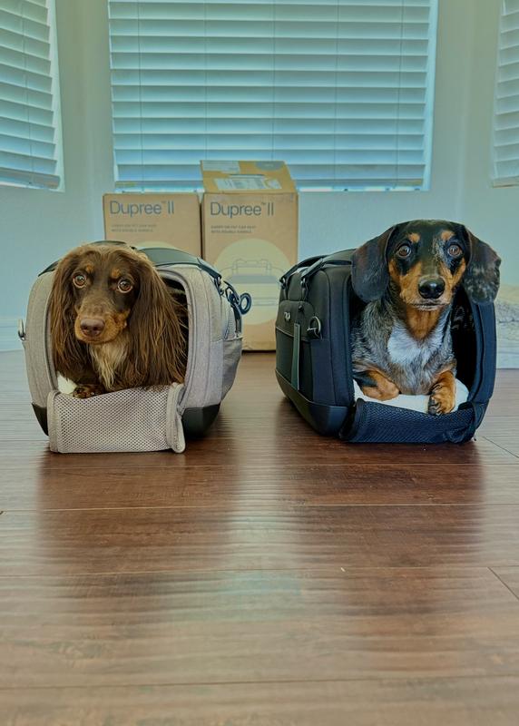 TAVO PETS Dupree II Airline Carry-On Dog & Cat Car Seat, Merle - Chewy.com