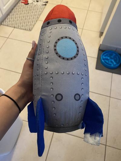 FRISCO Ballistic Nylon Plush Squeaky Rocket Ship Dog Toy - Chewy.com