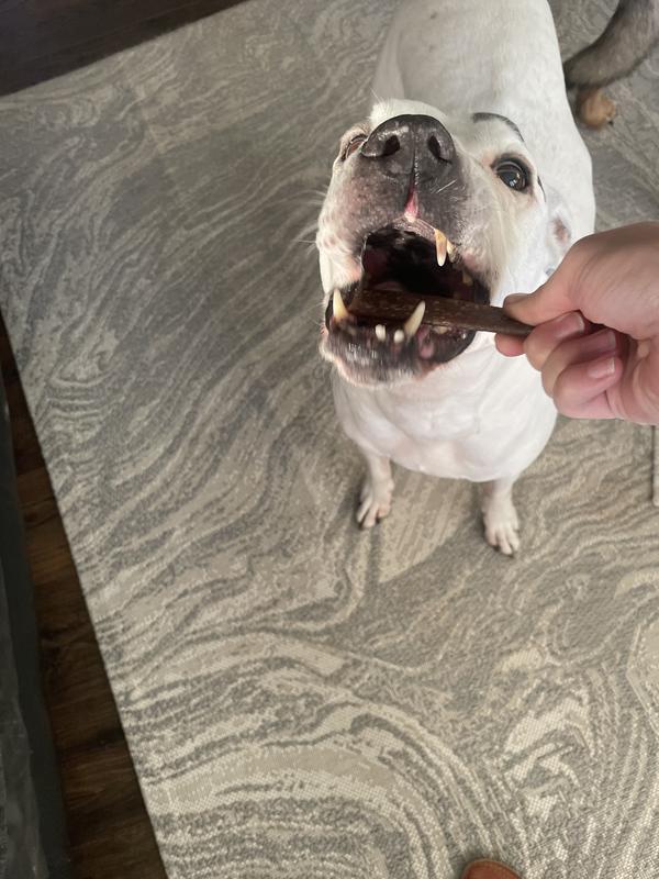 Discontinued - PEDIGREE Canine Cookout Chicken Flavored High-Protein ...