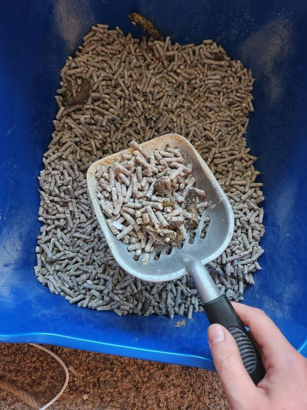 FRISCO Fresh Scented Non-Clumping Recycled Paper Cat Litter, 25-lb bag ...