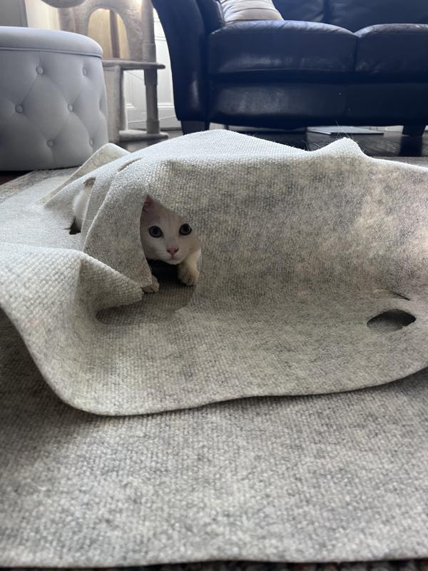 SNUGGLYCAT Ripple Rug Cat Activity Play Mat, Oatmeal White - Chewy.com