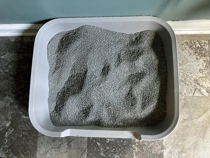 FRISCO Senior and Kitten Cat Litter Box, 24-in - Chewy.com