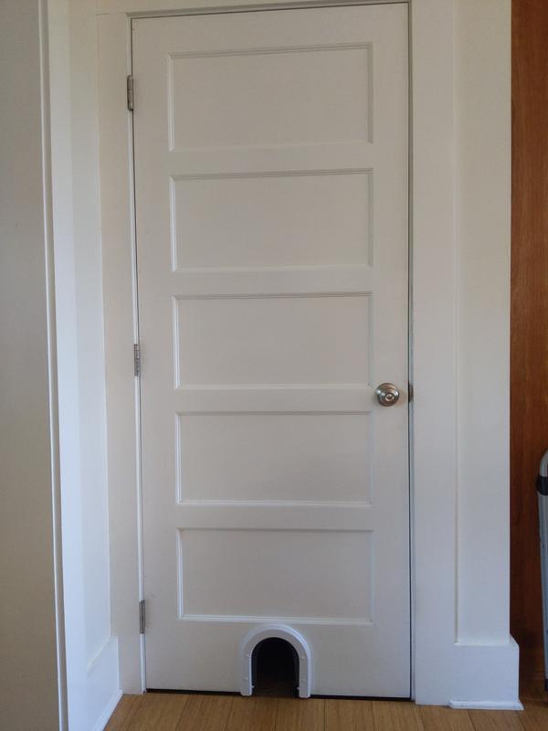 CATHOLE ECO Cat Door, White - Chewy.com