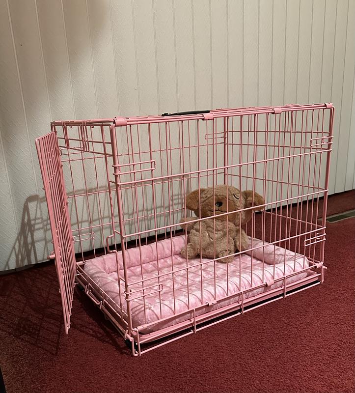 MIDWEST iCrate Single Door Collapsible Wire Dog Crate, Pink, 24 inch ...