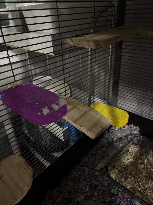 KAYTEE Lava Ledge Small Animal Toy, 5.8-in - Chewy.com