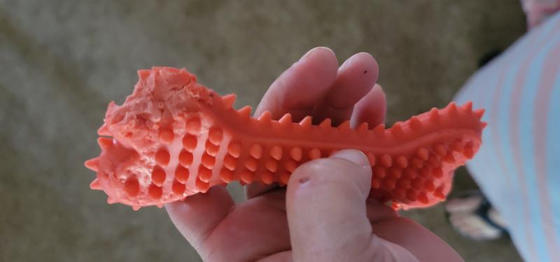 FRISCO Small Breed Puppies Rope & TPR Variety Pack Puppy Toy, 18 count ...