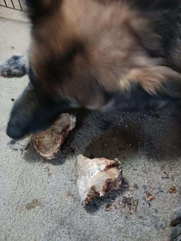 BONES & CHEWS Made in USA Beef Knuckle Bone Dog Treat, 2 count - Chewy.com