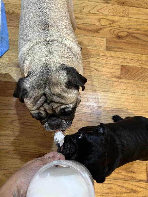 RAW PAWS Organic Virgin Coconut Oil for Dogs & Cats, Skin & Coat ...