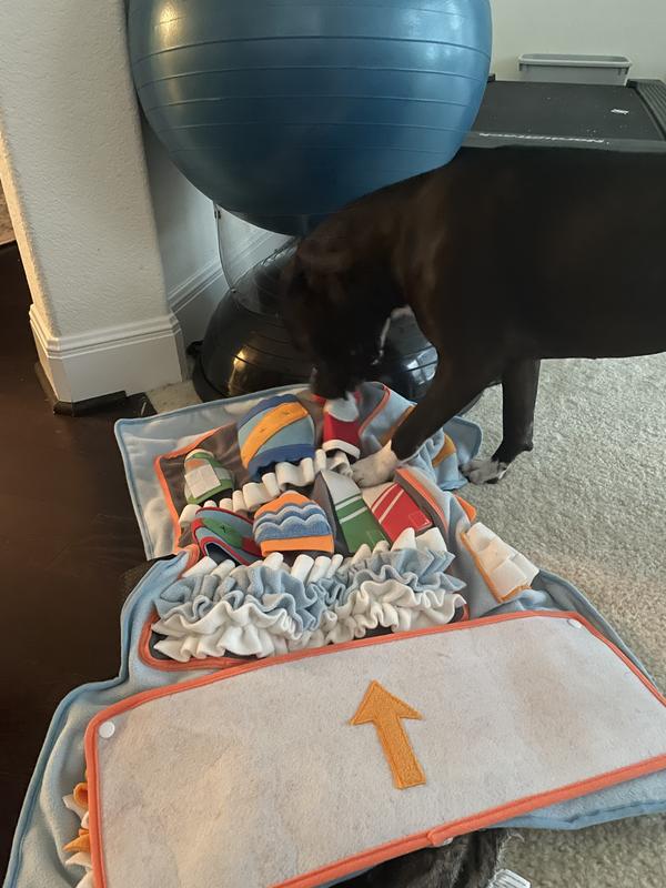 FRISCO Vending Machine Snuffle Mat, Blue, Large - Chewy.com