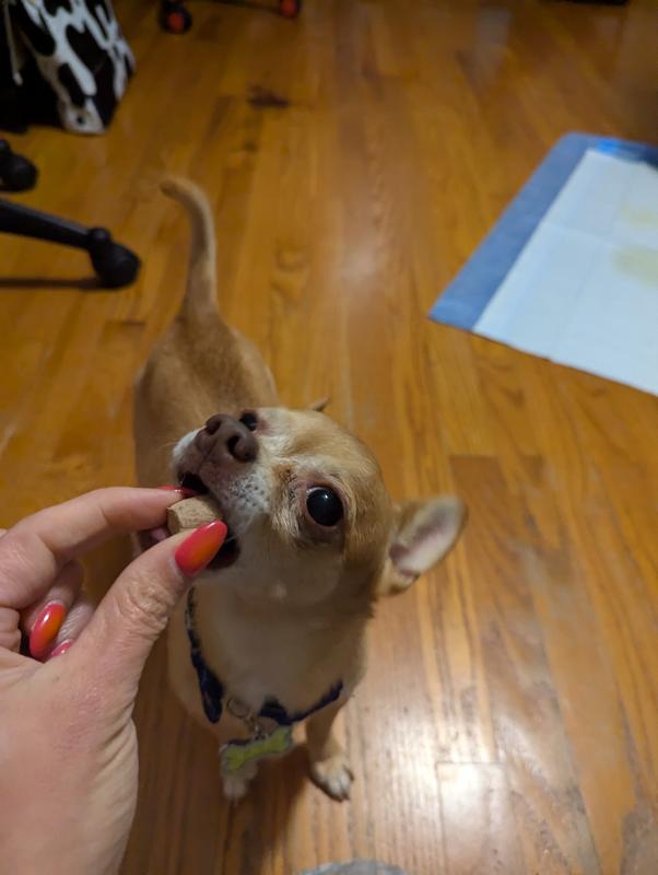 STELLA & CHEWY'S Meal Mixers Super Beef, Chewy's Chicken & Tantalizing ...