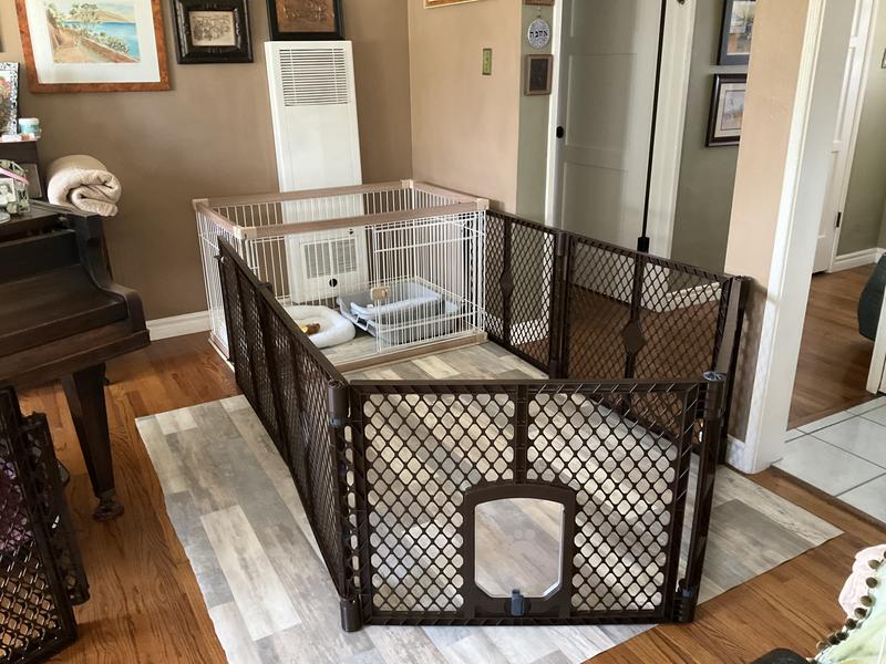 IRIS Open Wire Dog Pen, Medium - Chewy.com