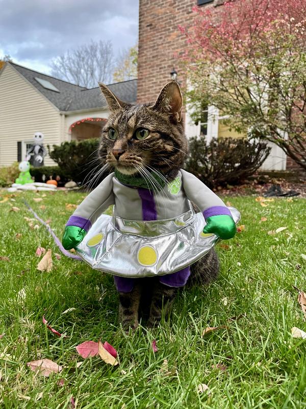 FRISCO Front Walking Alien Dog & Cat Costume, XX-Large - Chewy.com