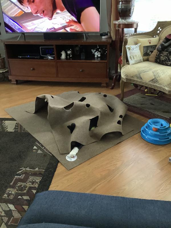 SNUGGLYCAT Ripple Rug Cat Activity Play Mat - Chewy.com