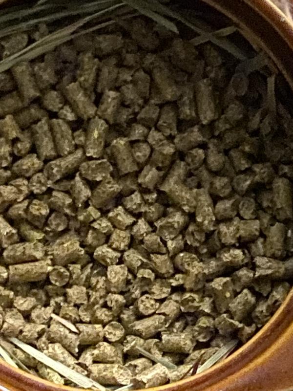 SWEET MEADOW FARM Timothy Pellets Adult Rabbit Food, 40-lb bag - Chewy.com