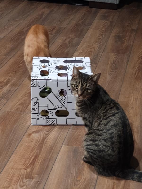 CAT AMAZING Sliders Interactive Treat Maze & Puzzle Cat Toy - Chewy.com