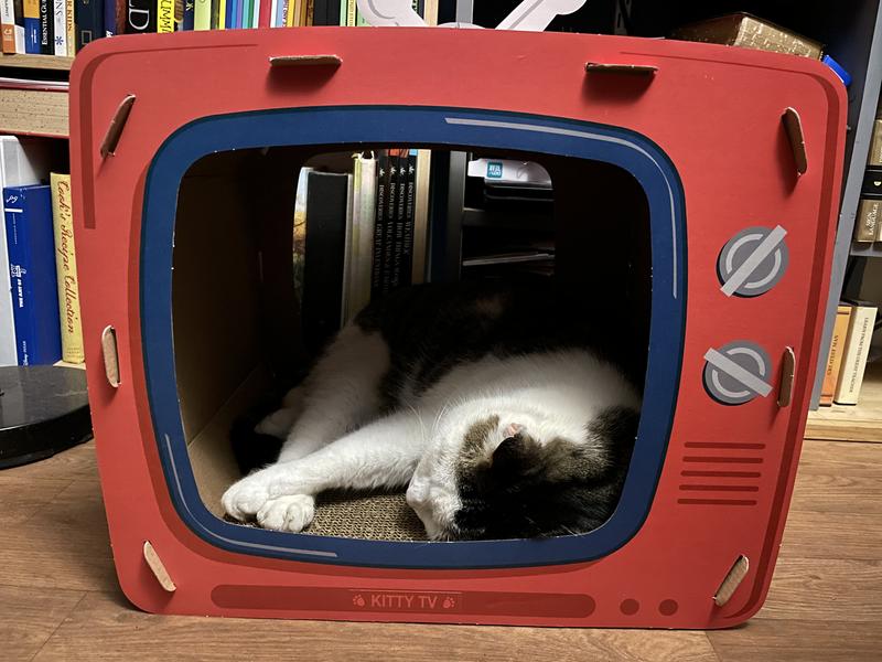 FRISCO TV Set Cardboard Cat House - Chewy.com