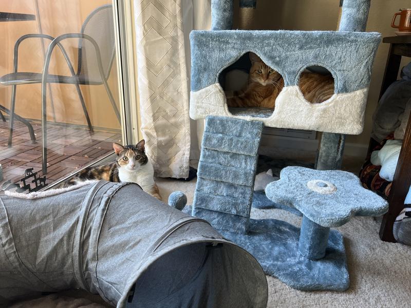 YAHEETECH Ocean-Themed Multi-Level Cat Tree, 45.5-in - Chewy.com