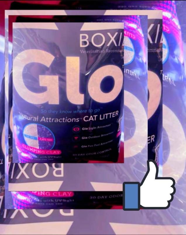 BOXIECAT Glo Natural Stress-Relief Clumping Clay Cat & Kitty Litter ...