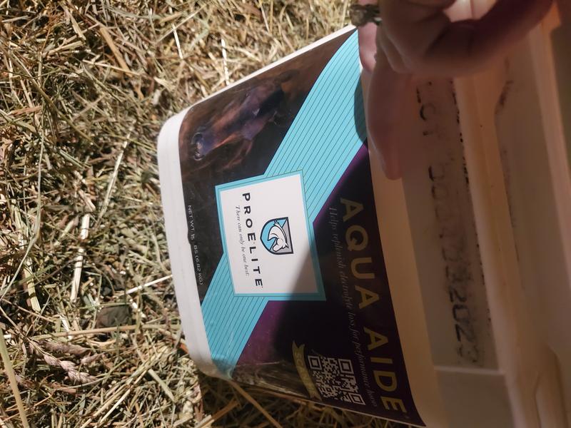 PROELITE Aqua Aide Electrolyte Replenishment Horse Supplement, 15-lb ...