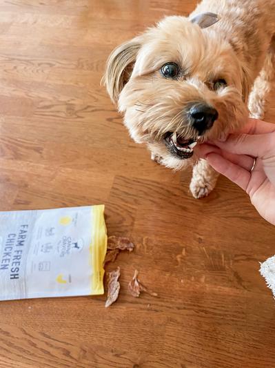 CANINE CRAVERS Farm Fresh Chicken Dehydrated Dog Treats, 5.3-oz pouch ...