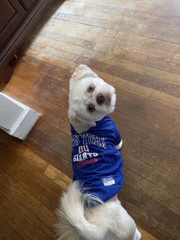 PETS FIRST NFL Dog & Cat T-Shirt, Seattle Seahawks, Small - Chewy.com