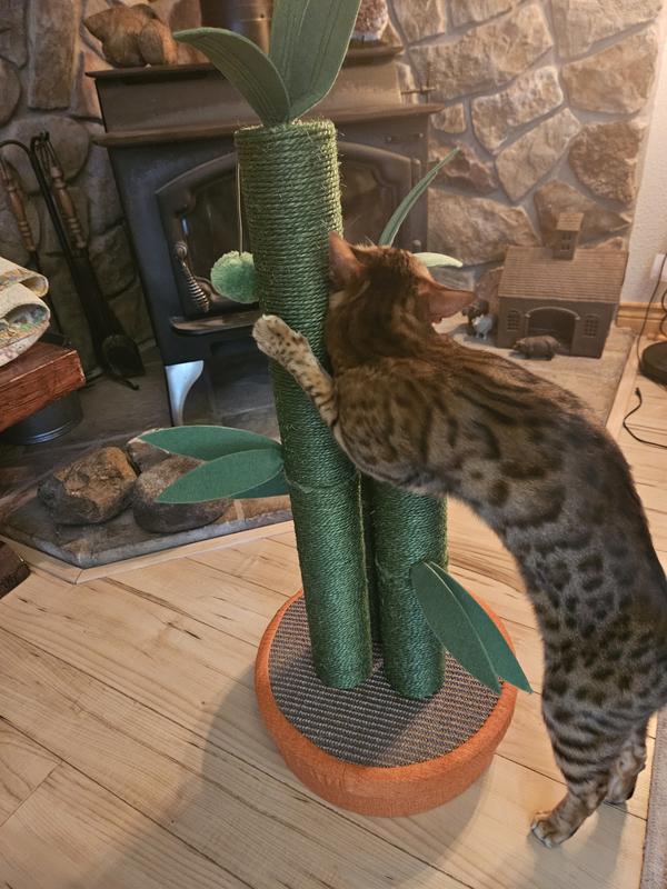 FRISCO Lucky Bamboo 35.5" Cat Scratching Posts with Toys - Chewy.com