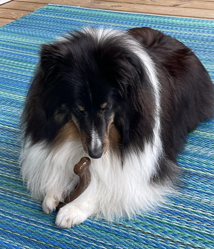 BENEBONE Peanut Butter Flavor Wishbone Tough Dog Chew Toy, Large ...