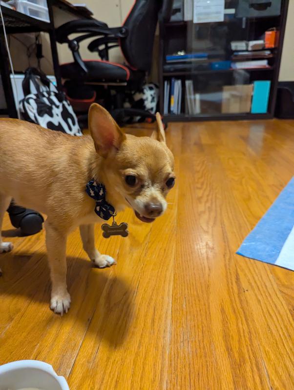 STELLA & CHEWY'S Meal Mixers Super Beef, Chewy's Chicken & Tantalizing ...