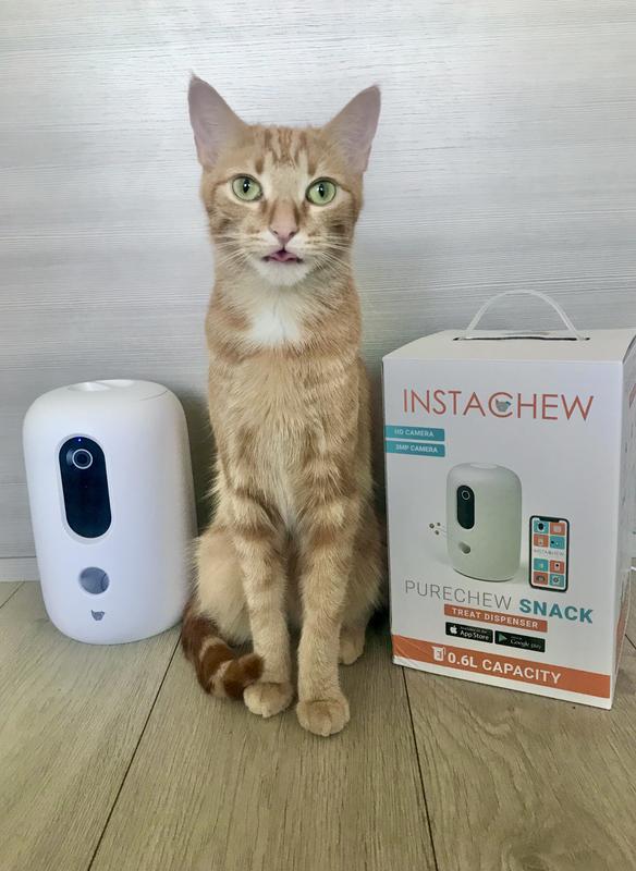 INSTACHEW Purechew Snack Cat & Dog Treat Dispenser, HD Camera, White ...