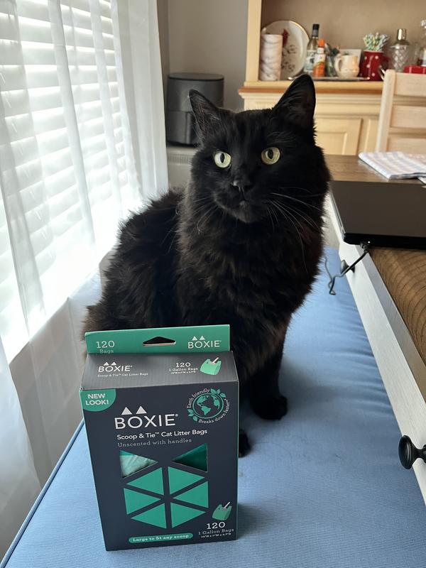 BOXIECAT Scoop & Tie Cat Litter Waste Bag, 120 count - Chewy.com