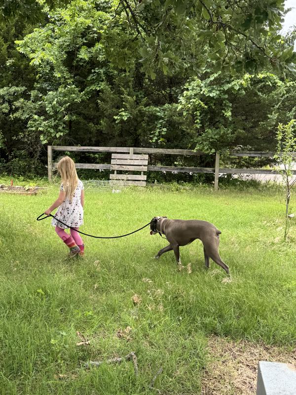 HEATHER'S HEROES The Sidekick Transitional Dog Training Leash, Blue ...