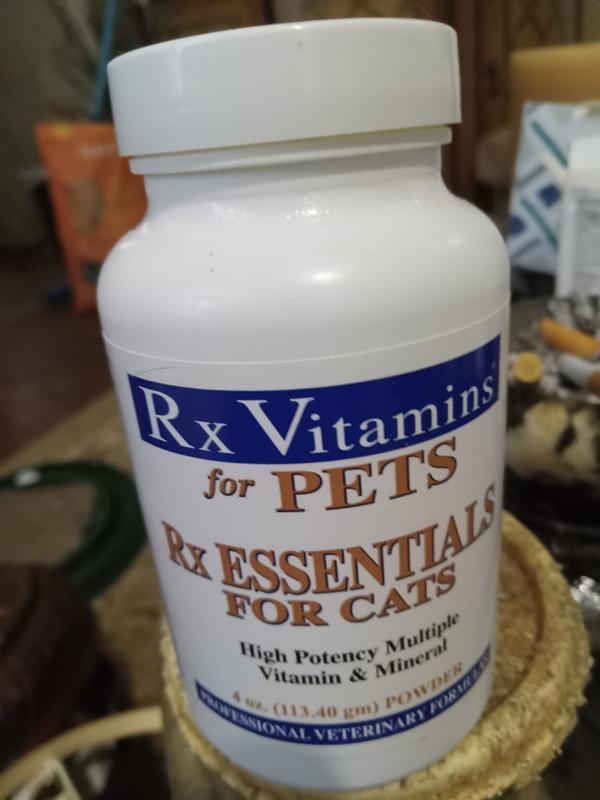 RX VITAMINS Rx Essentials Powder Multivitamin for Cats, 4-oz bottle ...