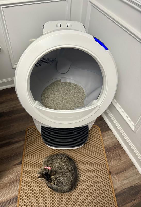 WHISKER Litter-Robot LitterTrap Mat, Orange - Chewy.com