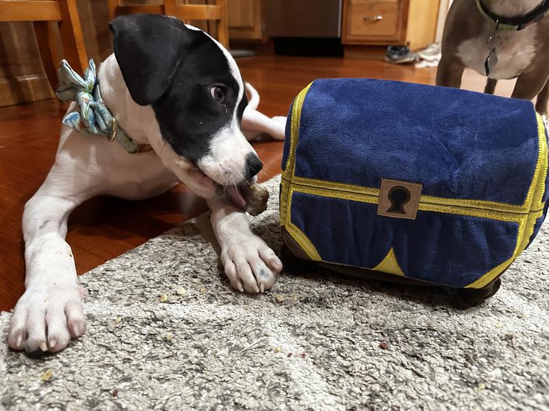 FRISCO Magic Chest Hide & Seek Puzzle Plush Squeaky Dog Toy, Small ...